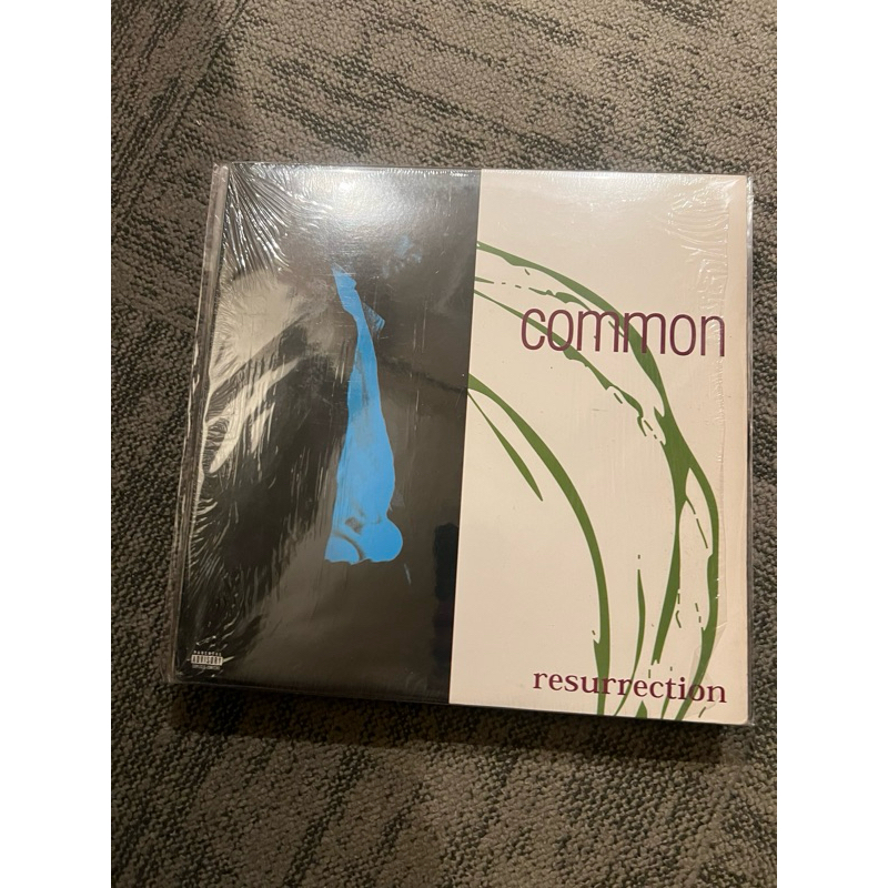 Common Resurrection Rare Vinyl Lp OG VG+ Condition | Shopee Philippines