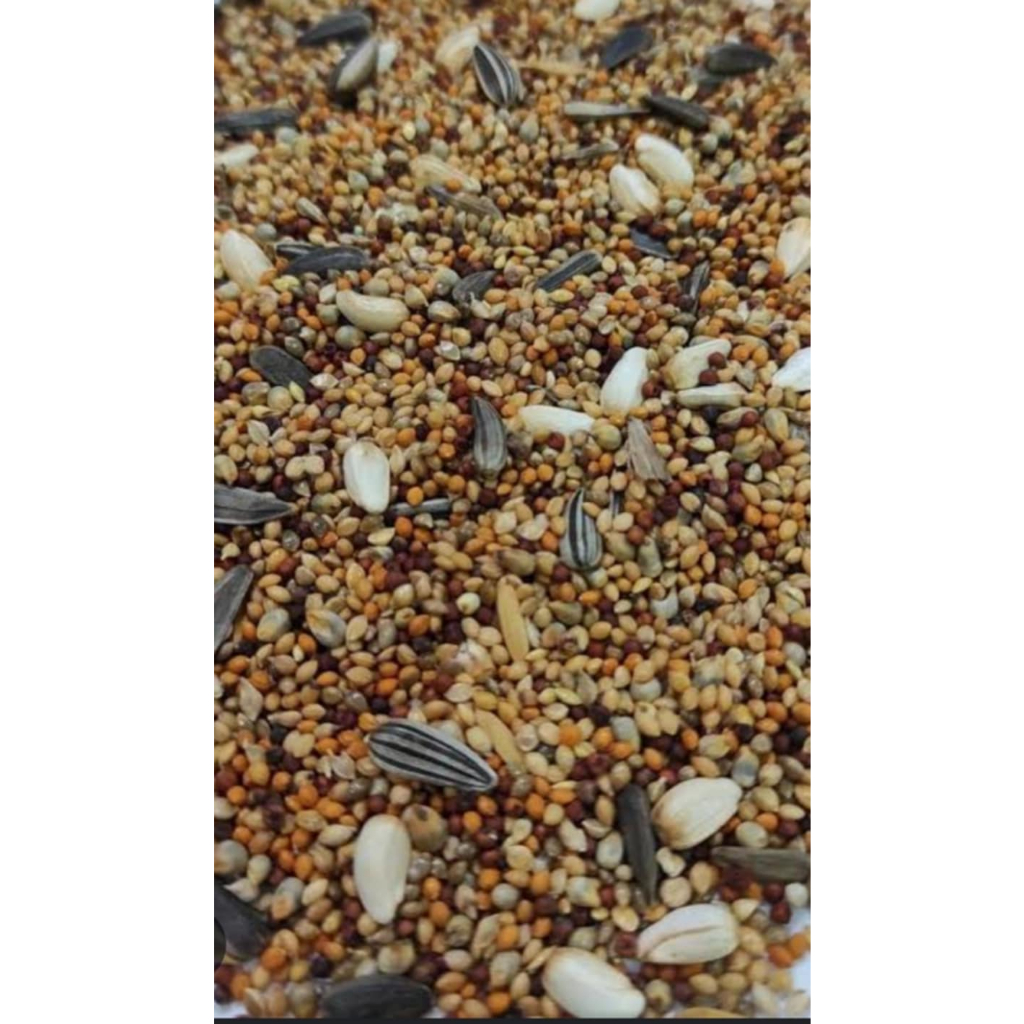 AFRICAN MIX, BIRD SEED, LOVE BIRD | Shopee Philippines