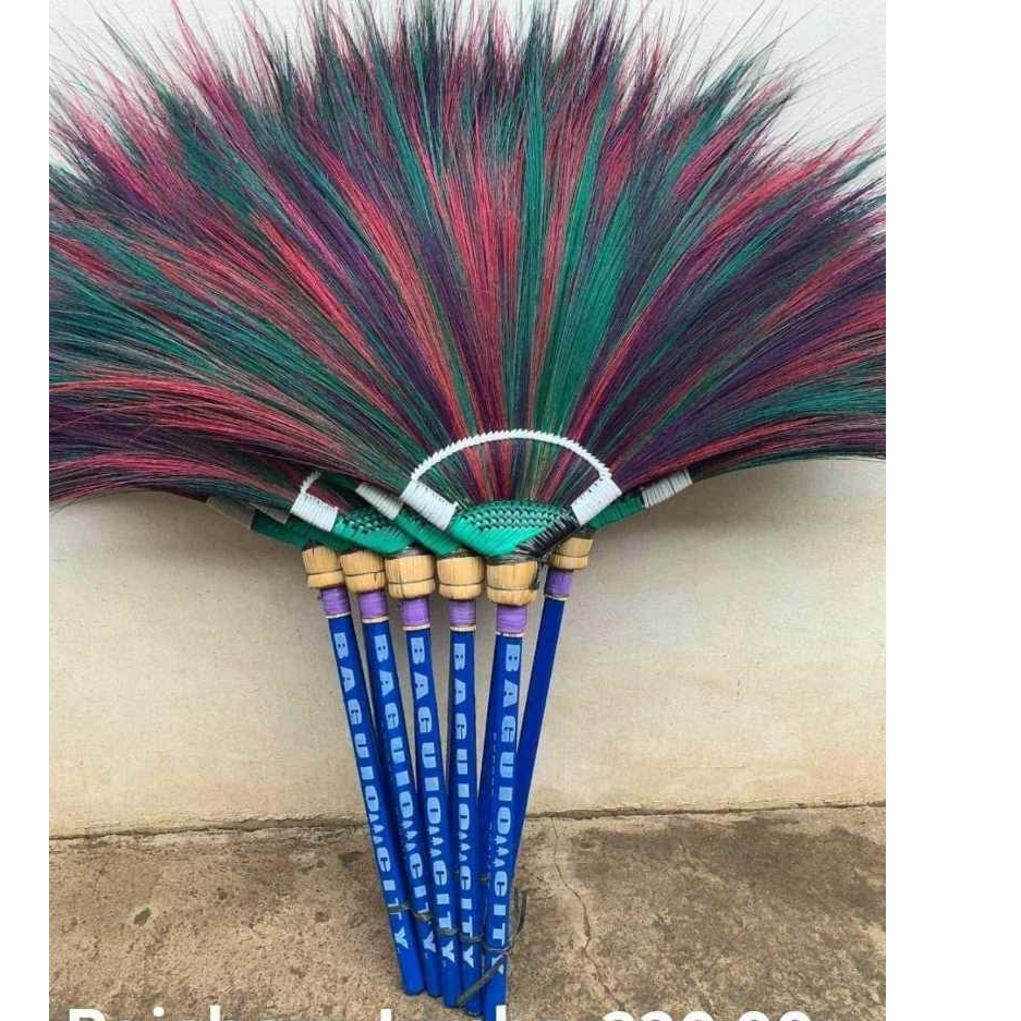 RAINBOW WALIS TAMBO TIBAY EXPORT QUALITY UNICORN SOFT BROOM | Shopee ...
