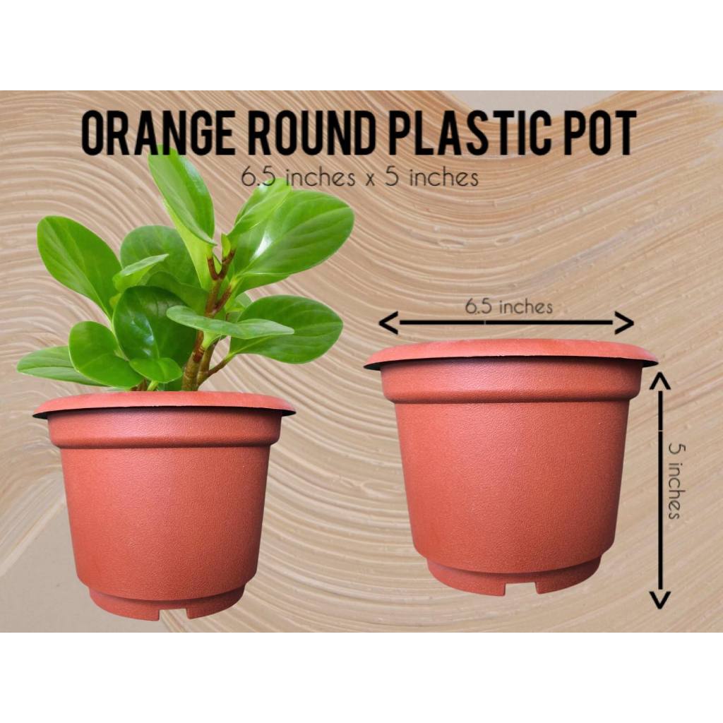 4 PCS Orange Round Pot 6.5 inches x 5 inches - Best for Indoor and ...