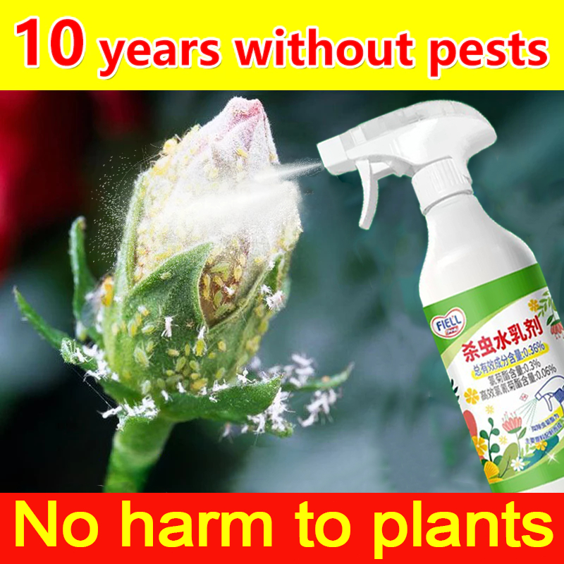 Plant insecticide spray 500ml No harm to plants nsecticide for ...