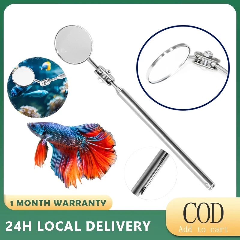 Betta Flare Flaring Mirror Training Mirror for Fighting Fish Training ...