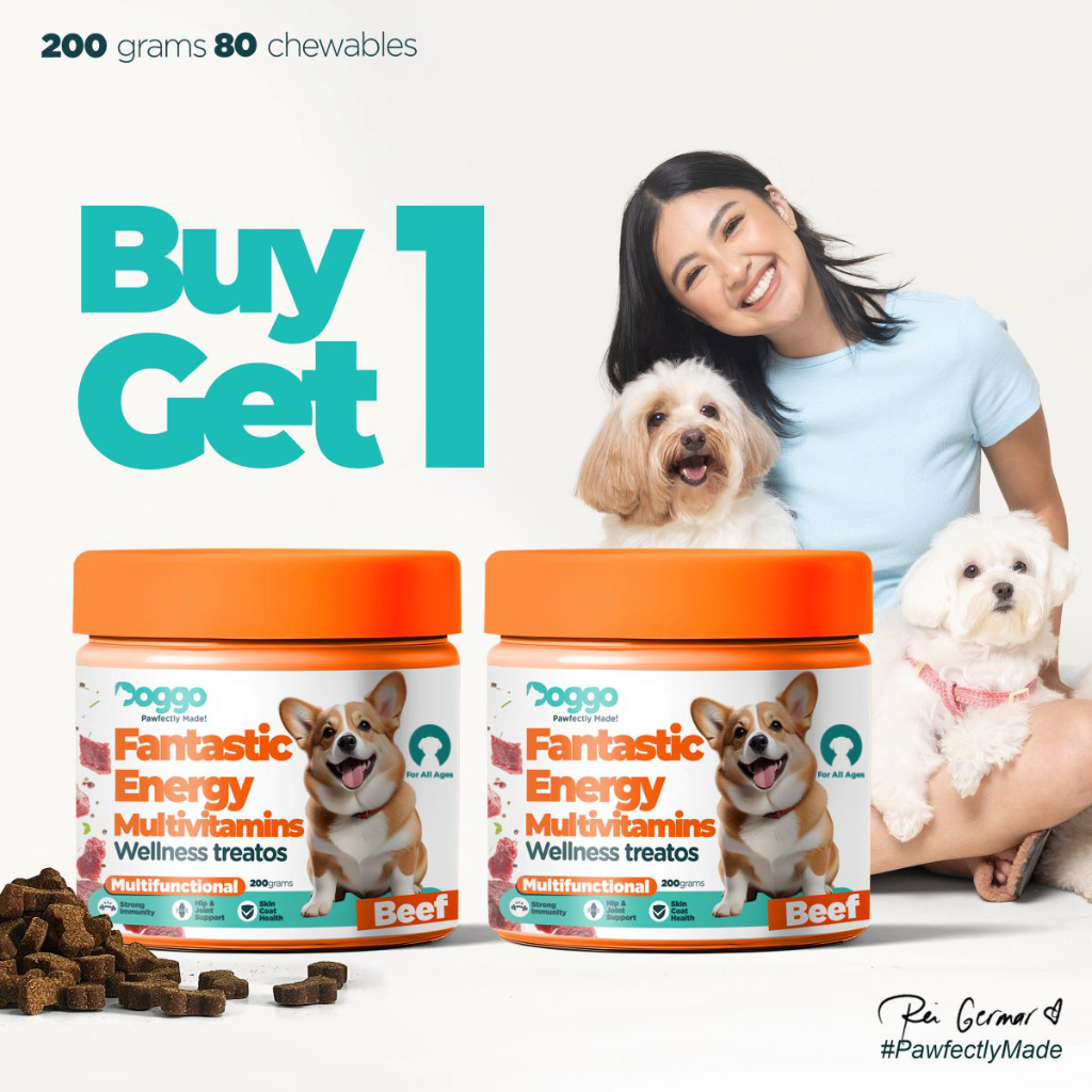 Doggo Fantastic Energy Multivitamins Wellness Treatos (Combo) (200g ...