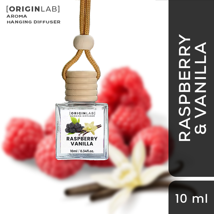 OriginLab- RASPBERRY & VANILLA Hanging Diffuser - Car Freshener - Air ...