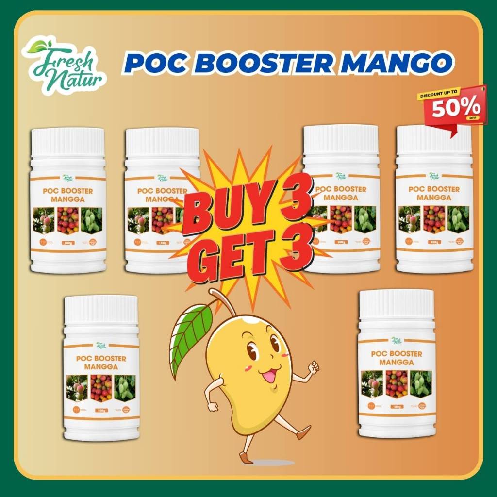 Pataba para sa puno ng mangga Poc Booster Mangga –pampabulaklak at ...