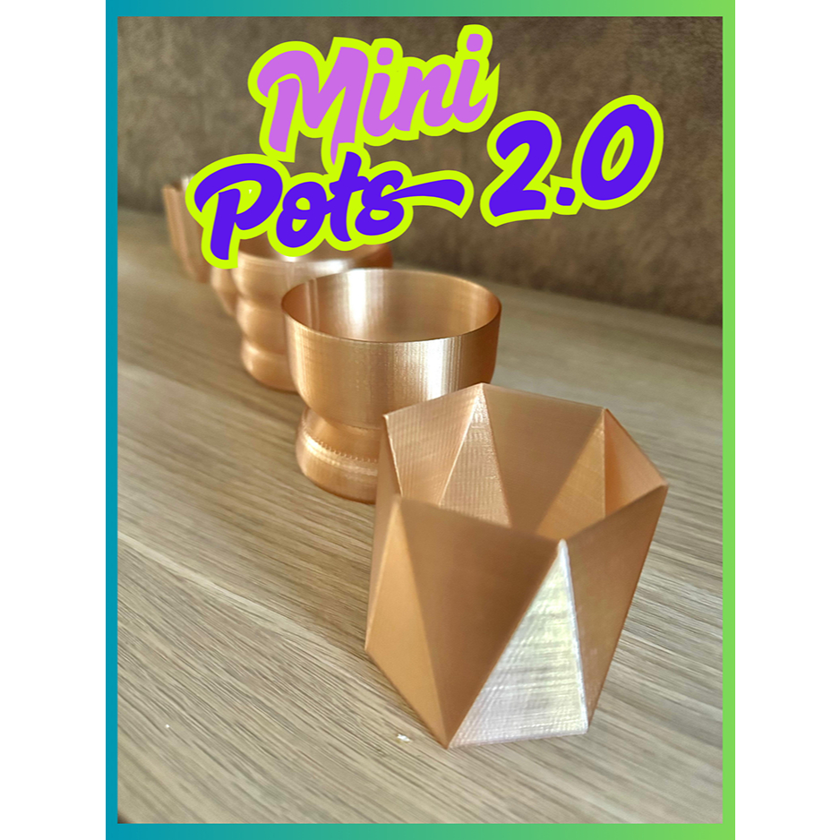 MINI POTS 2.0 | SOUVENIR POTS | FOR CACTUS | SUCCULENT | PLANTS ...
