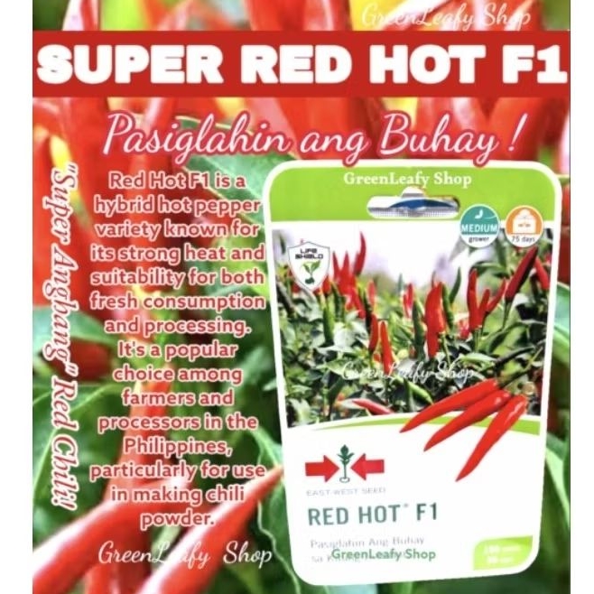 EAST WEST SUPER HOT CHILI F1 HYBRID VEGETABLE LIKE LABUYO FOR CHILI ...