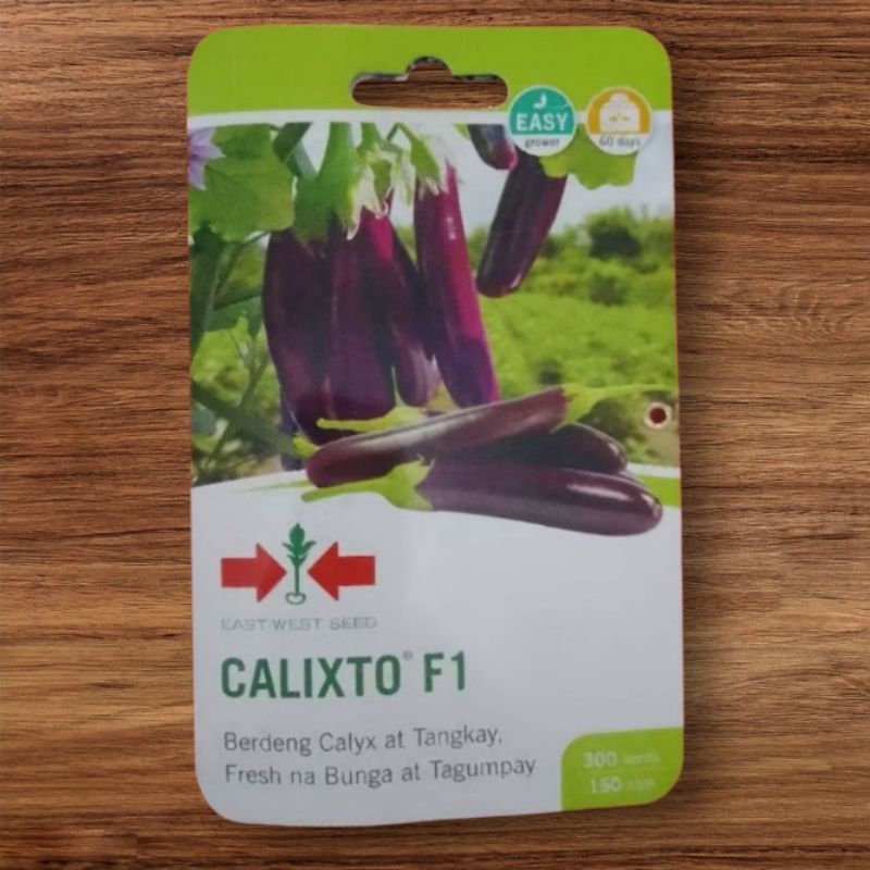 CALIXTO F1 HYBRID EGGPLANT SEEDS (300 SEEDS)EAST WEST SEEDS | Shopee ...