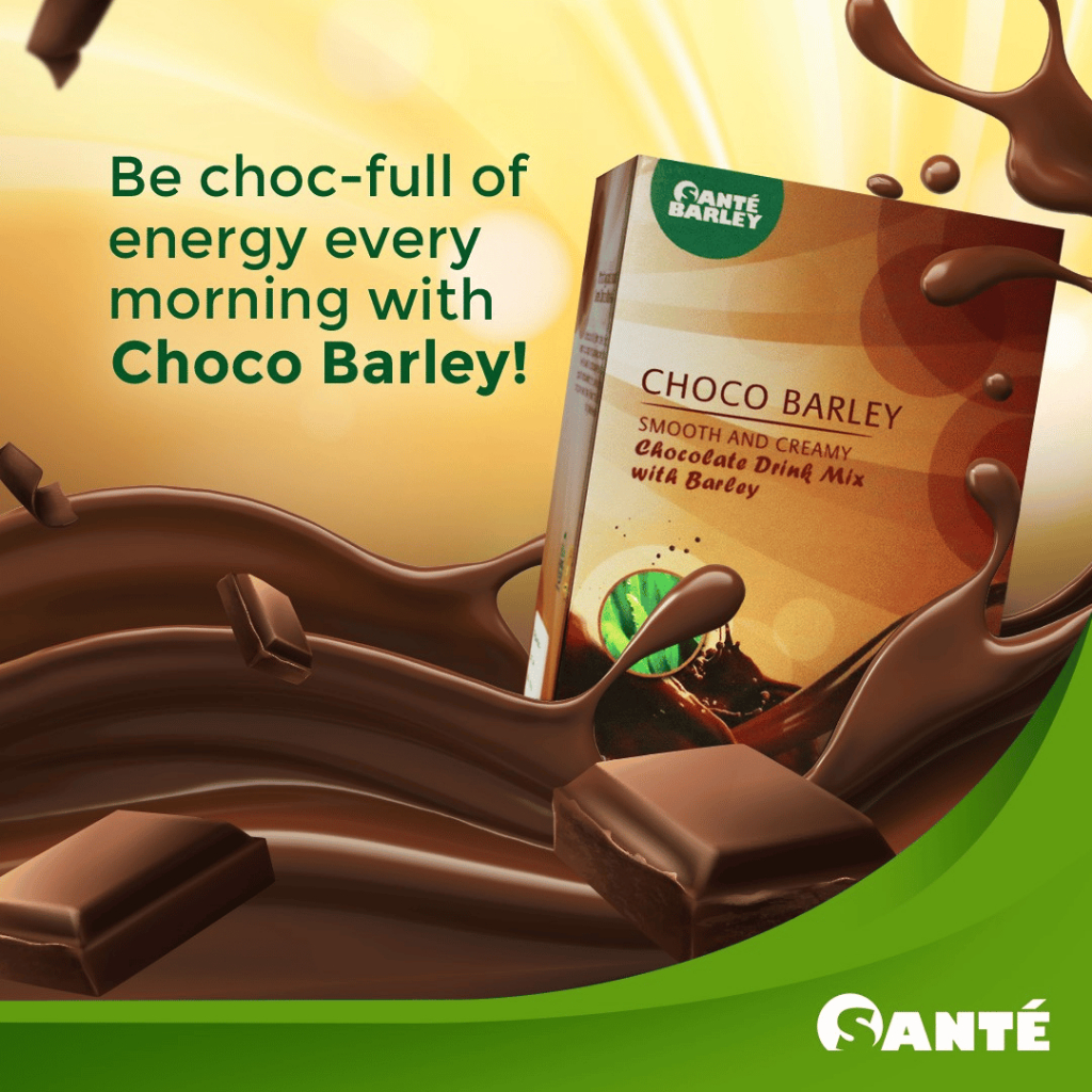 ORIGINAL Santé Choco Barley 10 Sachets – Chocolate Drink with Organic ...