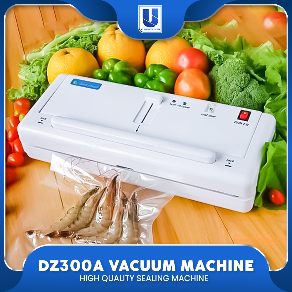 Portable Vacuum Packaging Machine for Vacuum Plastic Bags/Vacuum Sealer ...