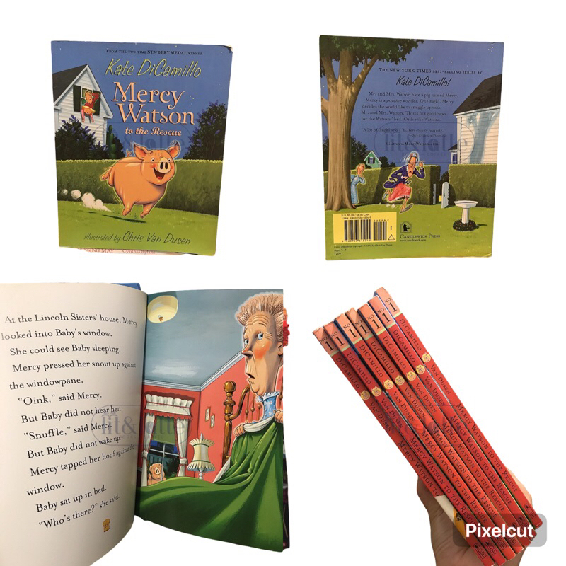 Preloved - Mercy Watson series by Kate DiCamillo | Clored Chapter Books ...