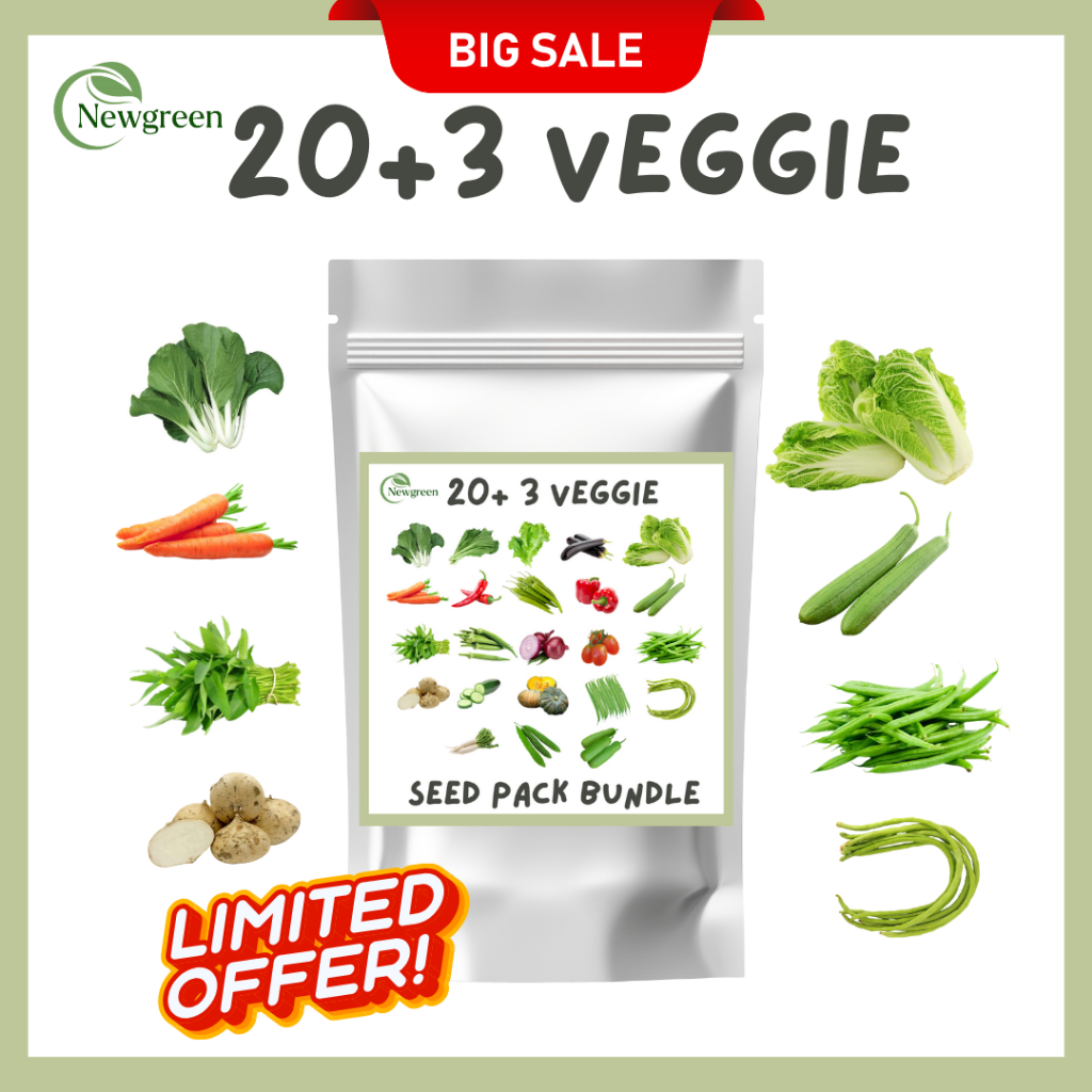 20+3 Vegetable Seeds Pack Bundle for Gardening High Quality Local Plant ...