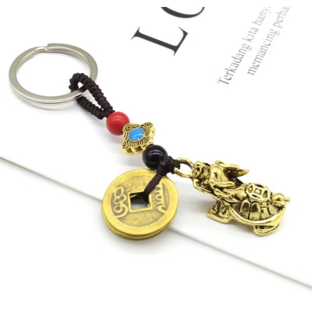 Fengshui Dragon Turtle with Five Coin Lucky Charm | Shopee Philippines
