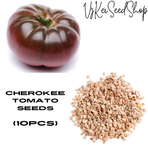 Cherokee Purple Tomato Seeds (10pcs) | Shopee Philippines