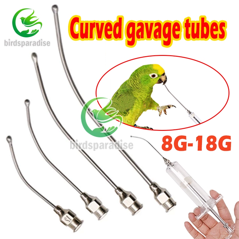 Bird Feeding Tube Curved Gavage Tubes for Manual Feeding Syringe for ...