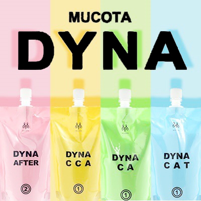 NEW Package Mucota Dyna Hair Straightening Salon Treatment 400g [CAT CA ...