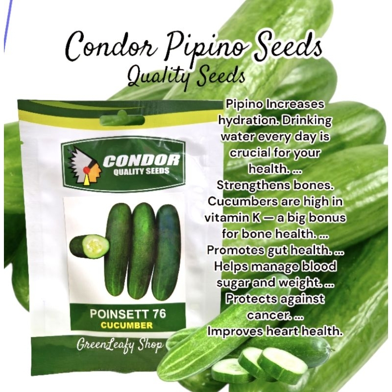 Condor Cucumber Pipino Quality Seeds Poinsett 76| Gulay GreenLeafy Shop ...