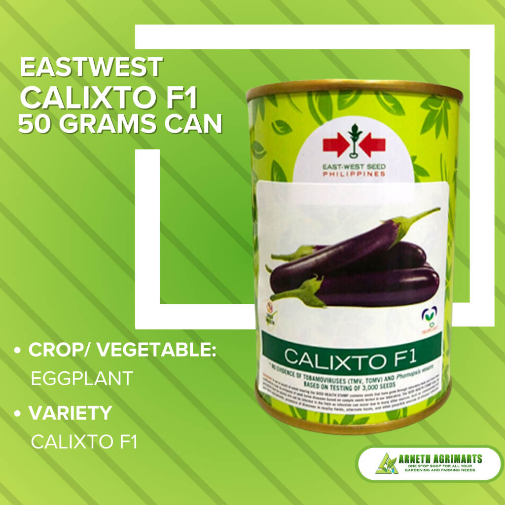 EAST WEST SEEDS CALIXTO F1 VARIETY EGGPLANT SEEDS, (50grams CAN ...