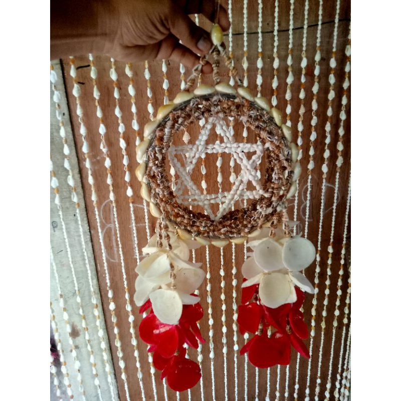 Shell handmade parol nassa and cowries | Shopee Philippines
