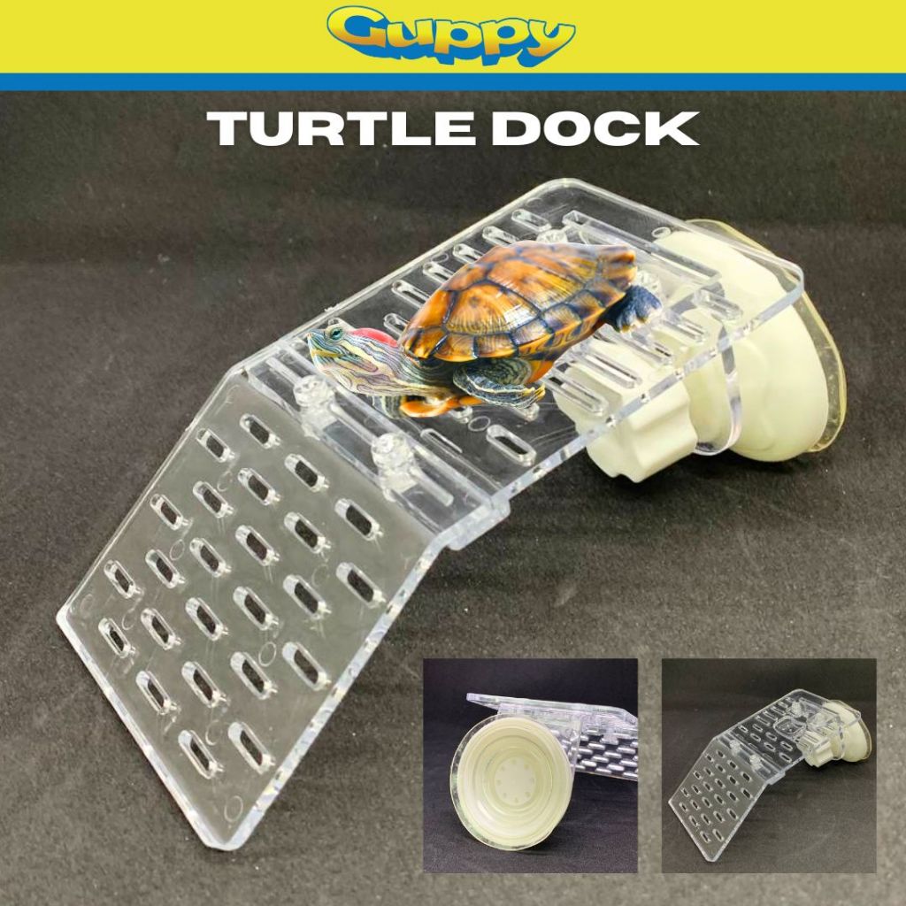 Turtle Dock Table Naturalistic Turtle Table | Shopee Philippines