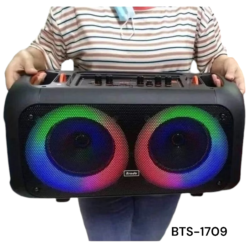 BTS-1709 Karaoke Box Professional System Bluetooth Speaker w/ 1pc ...