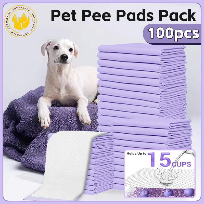 100PCS Pet Training Pad Rapid Absorption Cat Pads Training Pad for Dogs ...