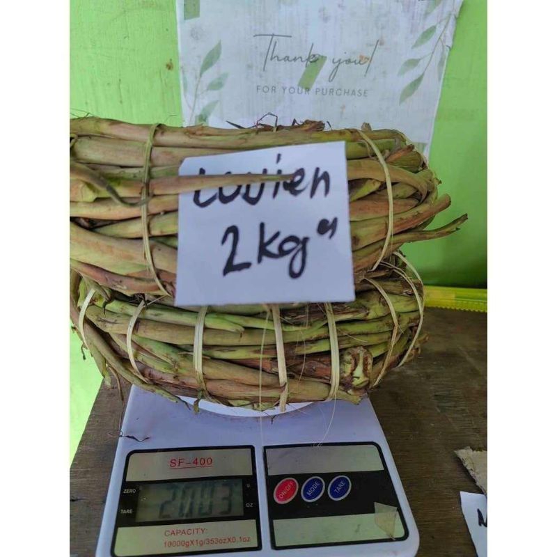TAKWAY 1 KG OR TARO SHOOTS WITH FREE BATWAN | Shopee Philippines