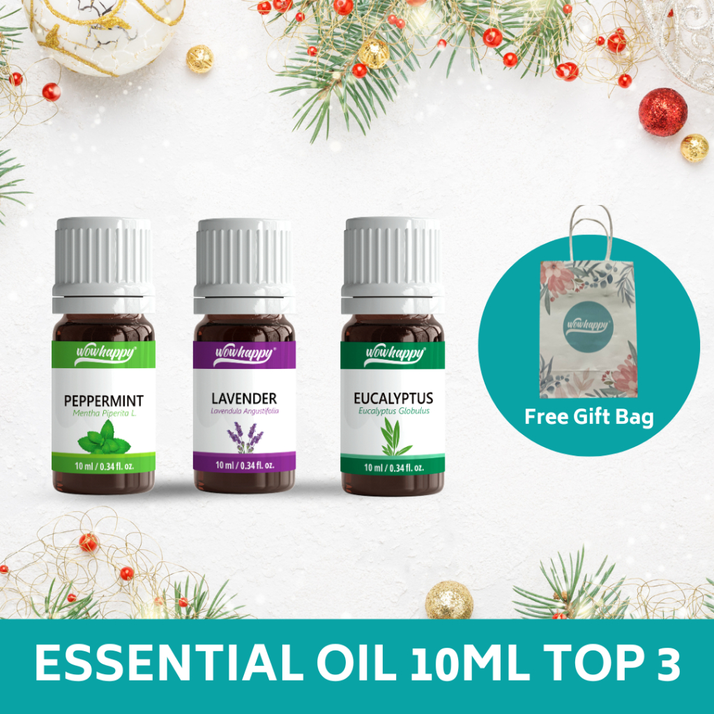 Wowhappy Aromatic Essential Oils Top EO Bestsellers Set 10ml with FREE ...