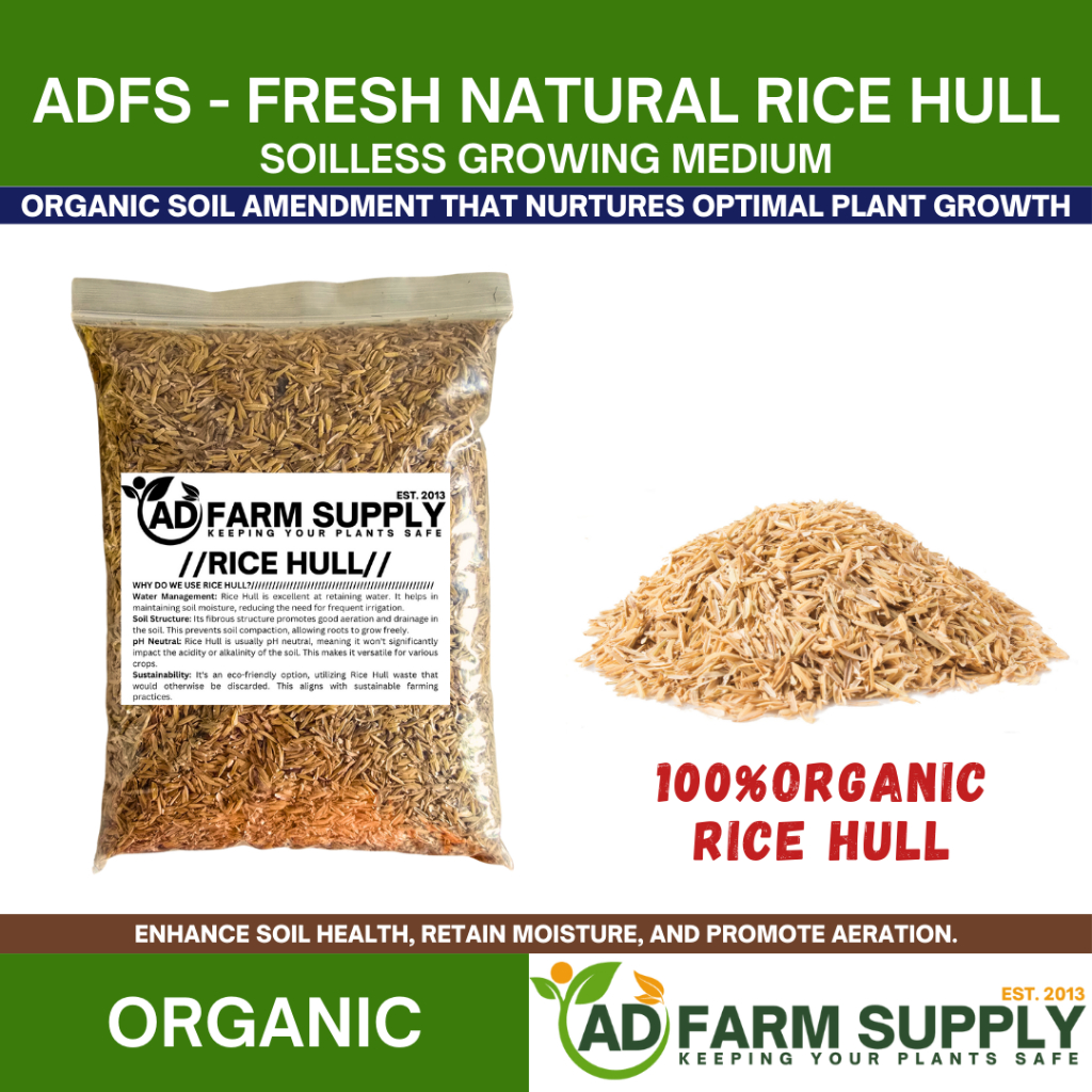 RICE HULL FOR PLANTS / IPA NG PALAY / UGABHANG – Organic Soilless ...