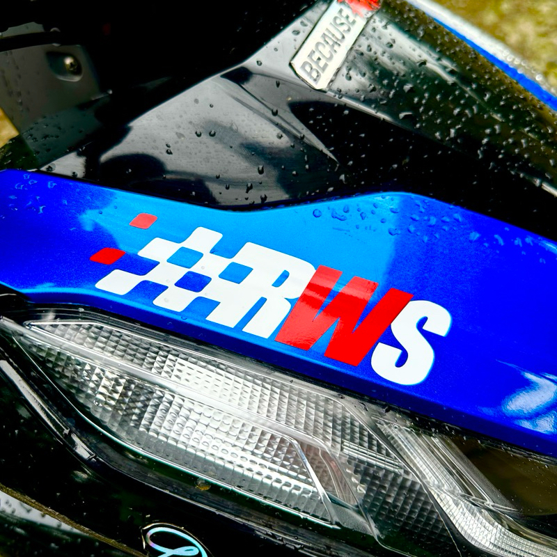 RWS Race Flag Ride With Style Sticker Decals Cutout Vinyl Waterproof ...