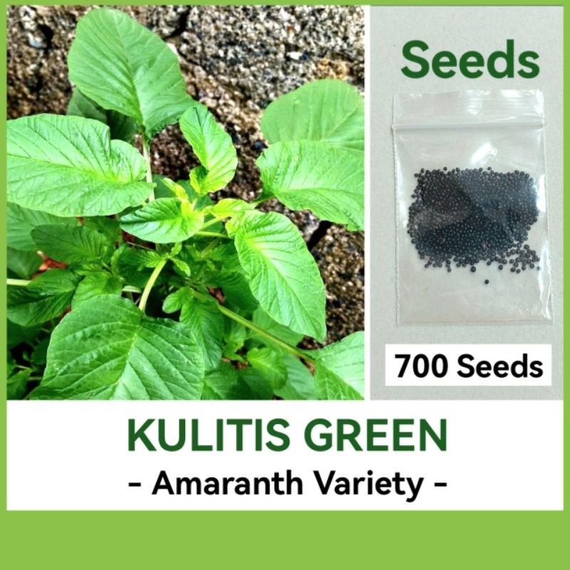 KULITIS GREEN SEEDS - AMARANTH Variety - High Quality Vegetable Seeds ...