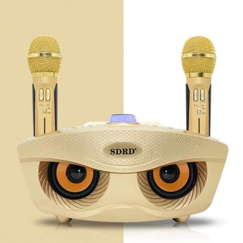 SDRD SD306 Plus 30W Karaoke Player bluetooth 4.2 Speaker Family KTV ...