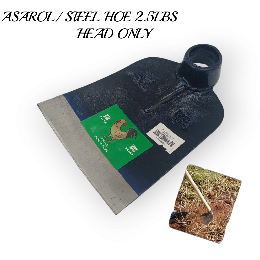 ASAROL) STELL HOEL) = HEAD ONLY= (2.5LBS) | Shopee Philippines