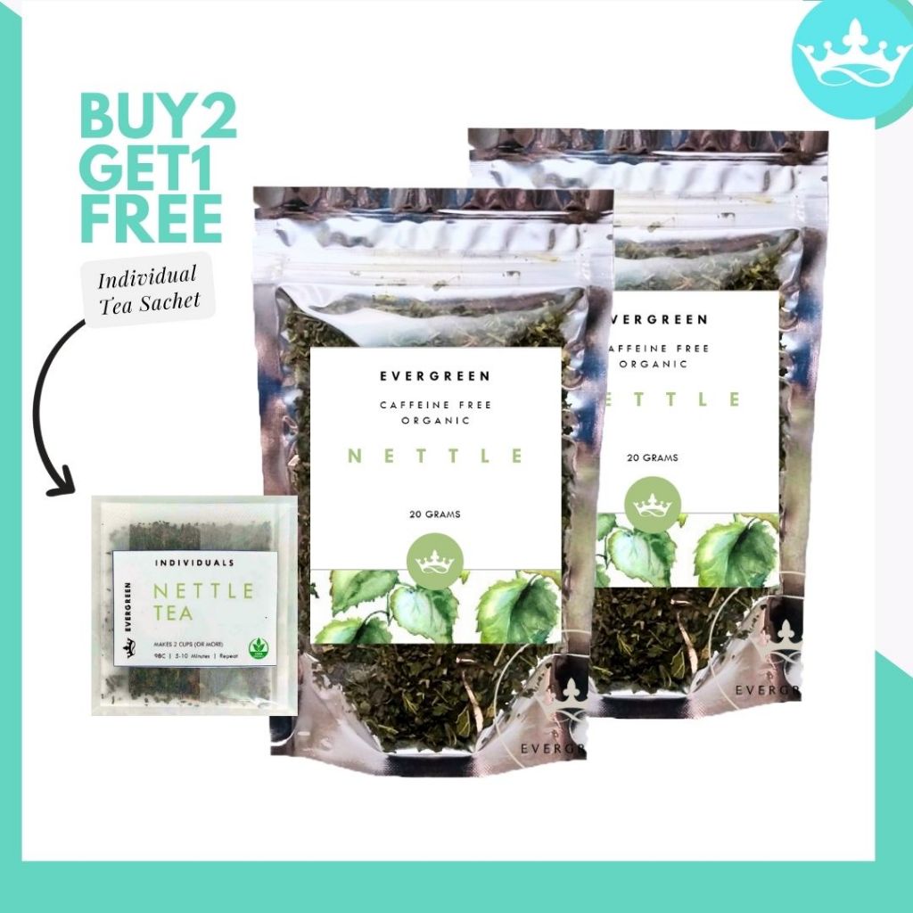 Nettle Leaf Tea loose leaf & Big Teabags | Organic, 100% Natural, No ...