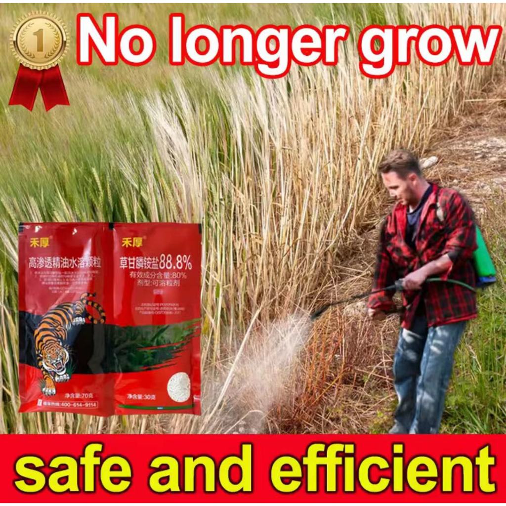 100g Herbicide for Weed and grass killer Grass killer powder suitable ...