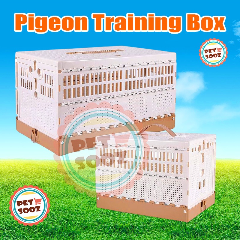 Foldable training box for pigeon Portable T box Plastic folding cage ...