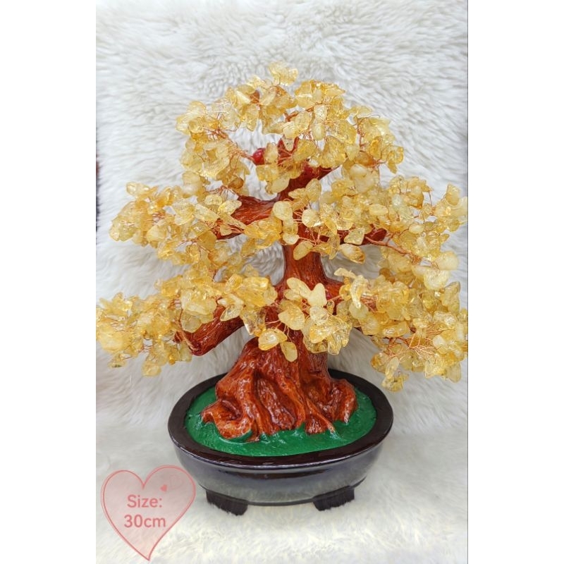 NEW ARRIVAL !!! Feng Shui Money Tree Citrine Opaque Natural Stone / No ...