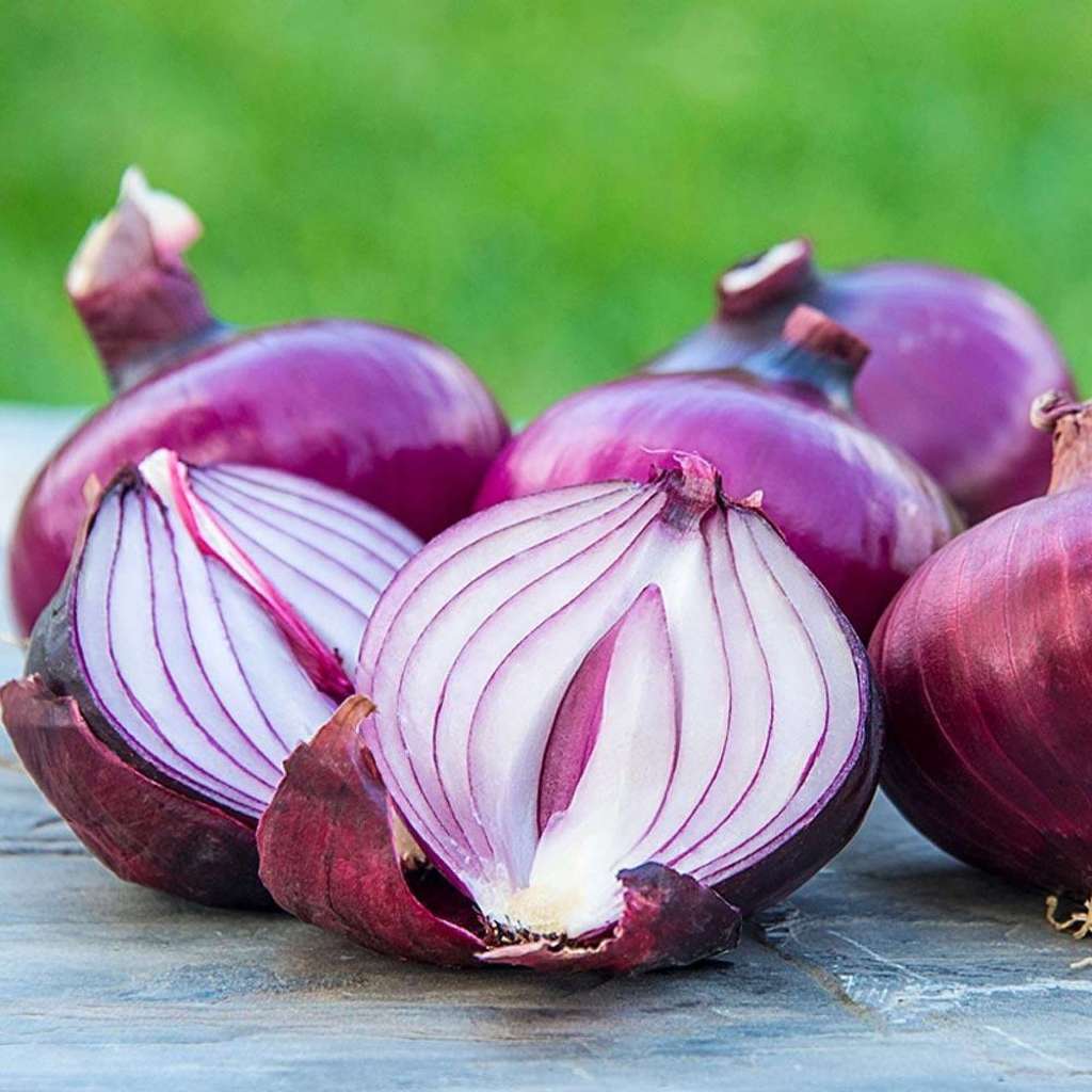 (200seeds/pack)Red Onion Seeds- Vegetables seeds | Shopee Philippines
