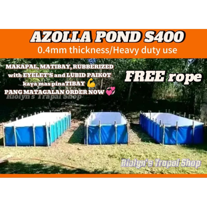 6 x 3 x 1 - 8 x 2 x 1 FEET AZOLLA POND S400 ORIGINAL Fish Tank Crayfish ...