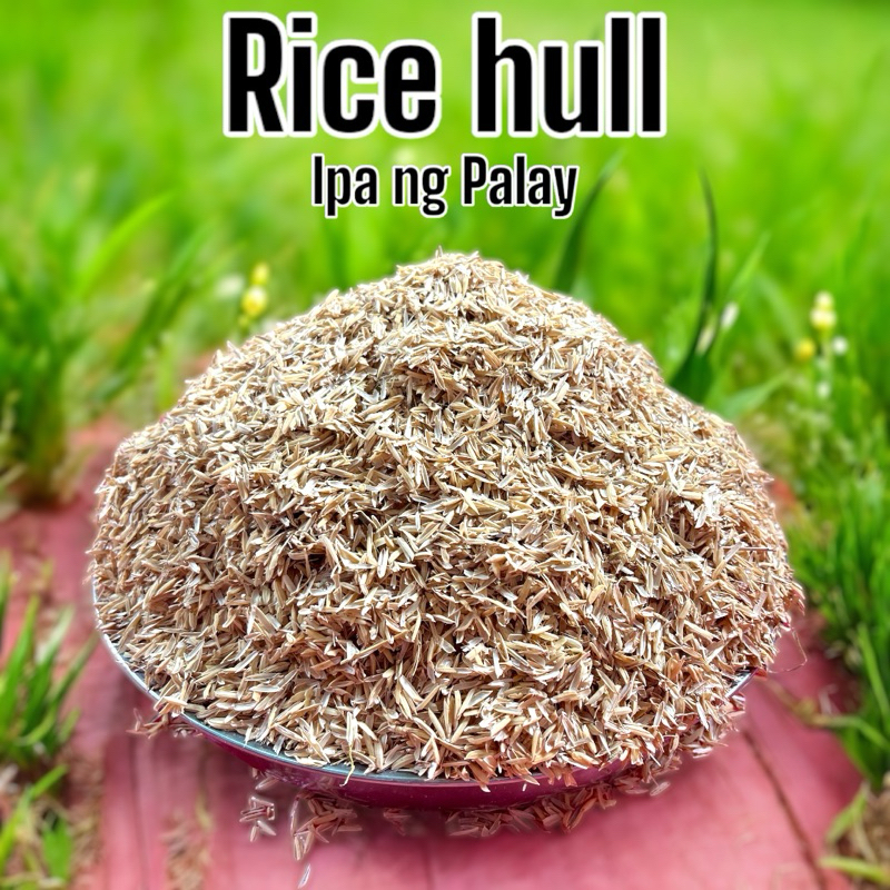 Ipa ng Palay | Rice Hull | 2L Pack | Dry and Pure rice hull | Great for ...