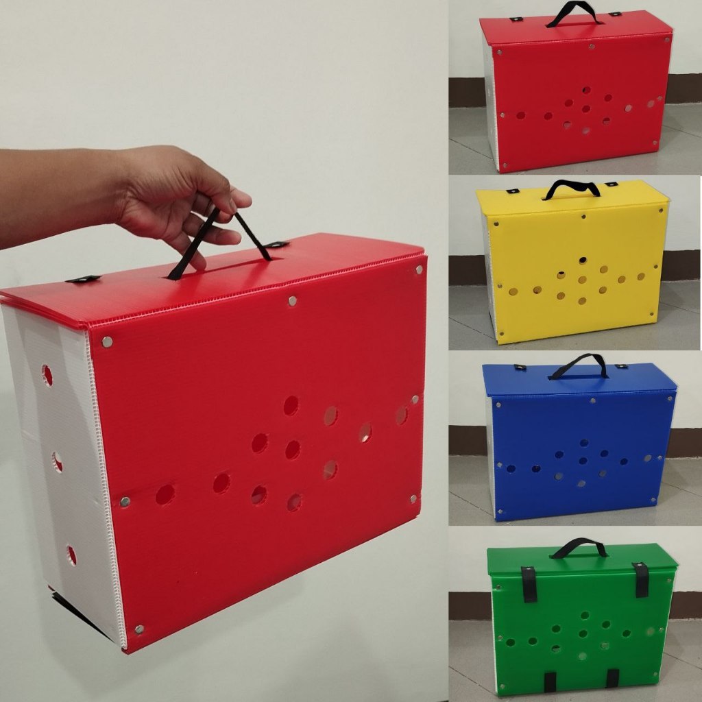 Single plastic derby box collapsible | Shopee Philippines