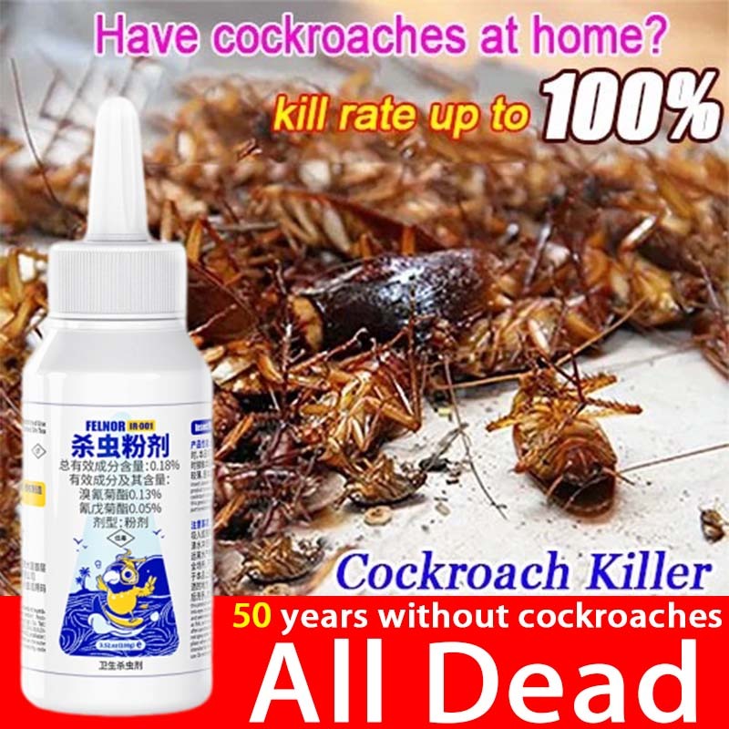 Effective Cockroach Powder cockroach Insect Bug Roach Food Poison ...