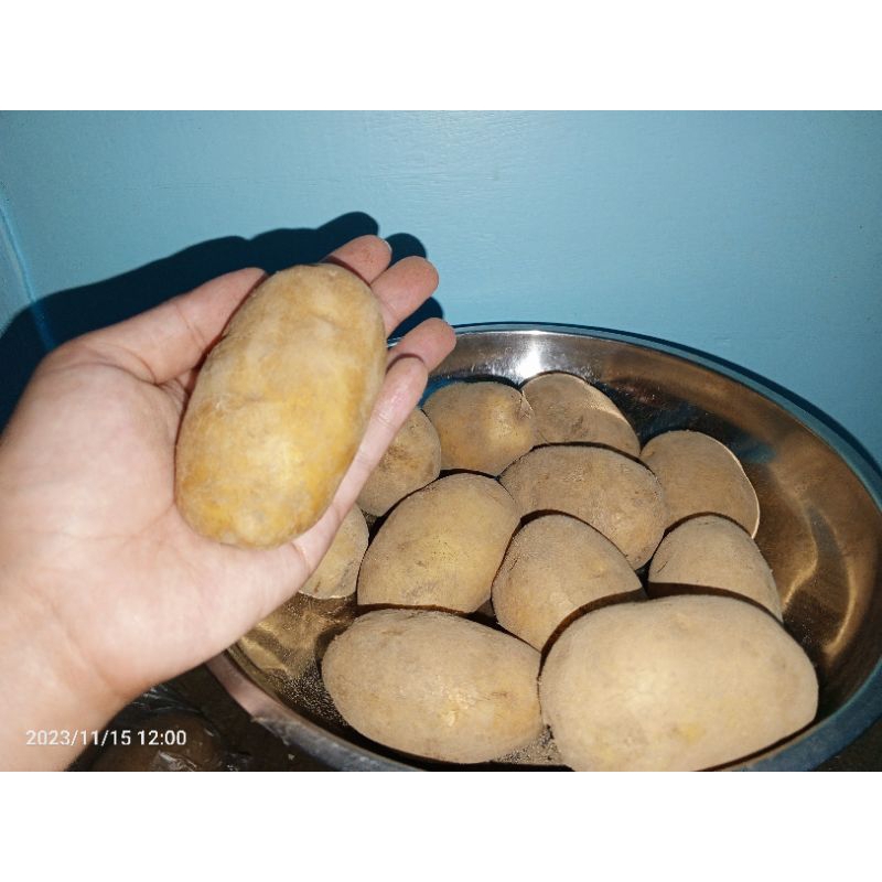patatas local potatoes (1kl) cooking essential | Shopee Philippines