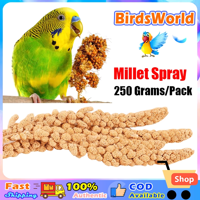 Millet Spray for birds Grape seed Bird food seeds | Shopee Philippines