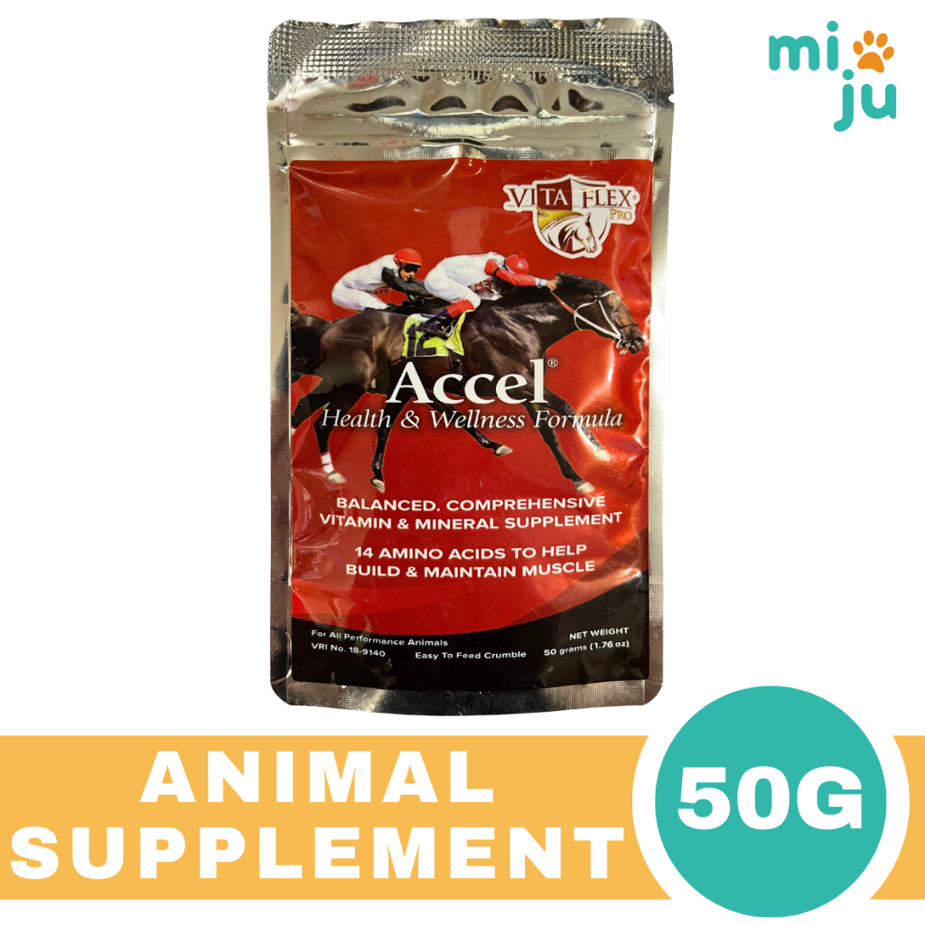 Accel 50g Multi-Vitamin & Mineral Supplement for Sporting Animals ...
