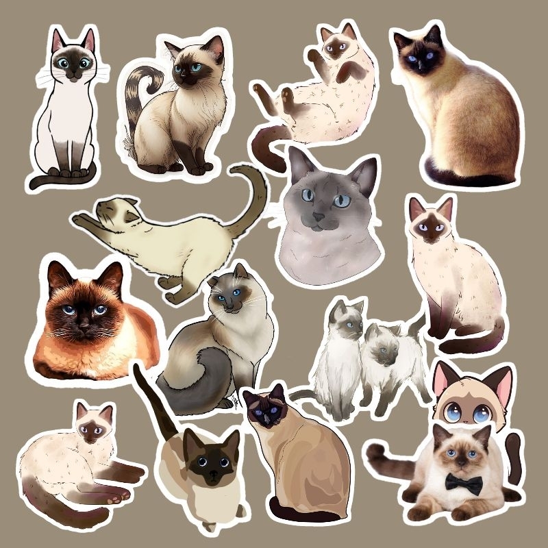 Siamese Cat Stickers | Vinyl Matte Laminated Waterproof and ...