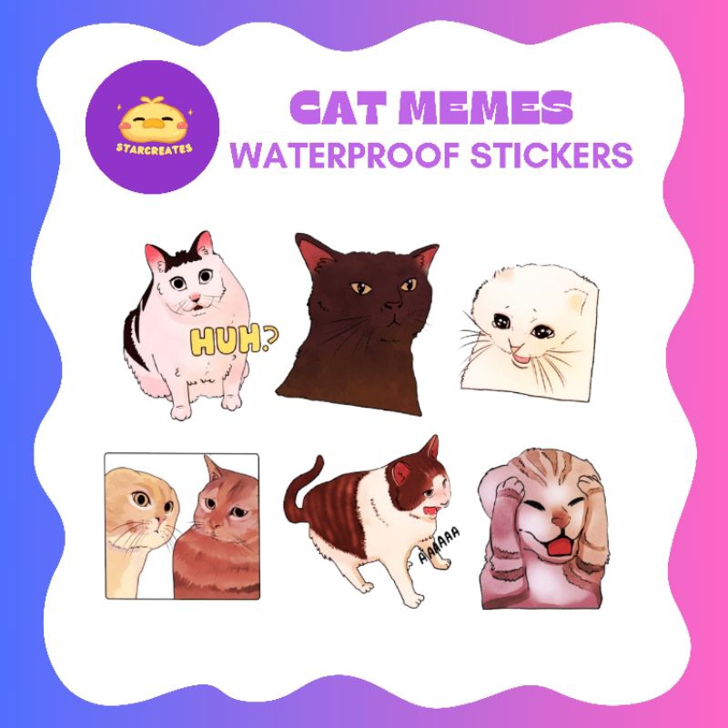 Cat Memes Vinyl Waterproof Stickers | Shopee Philippines