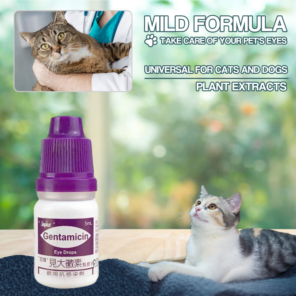 Pet Eye Drops 5ml Eye Drops for Cats and Dogs Eye Cleansing Eye Drops ...