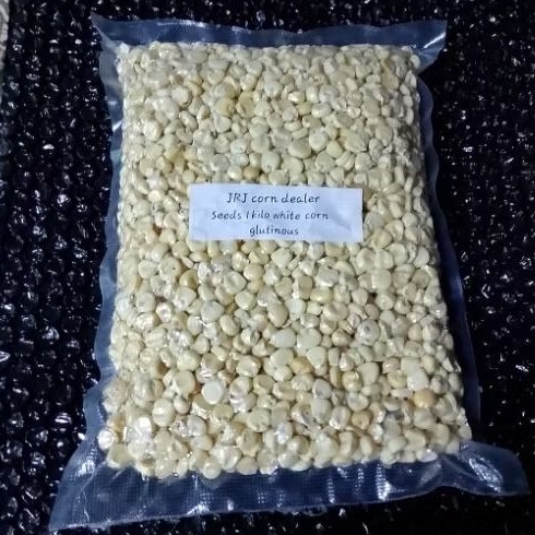 1kilo binhi mais na puti pang tanim. glutinous lagkitan | Shopee ...