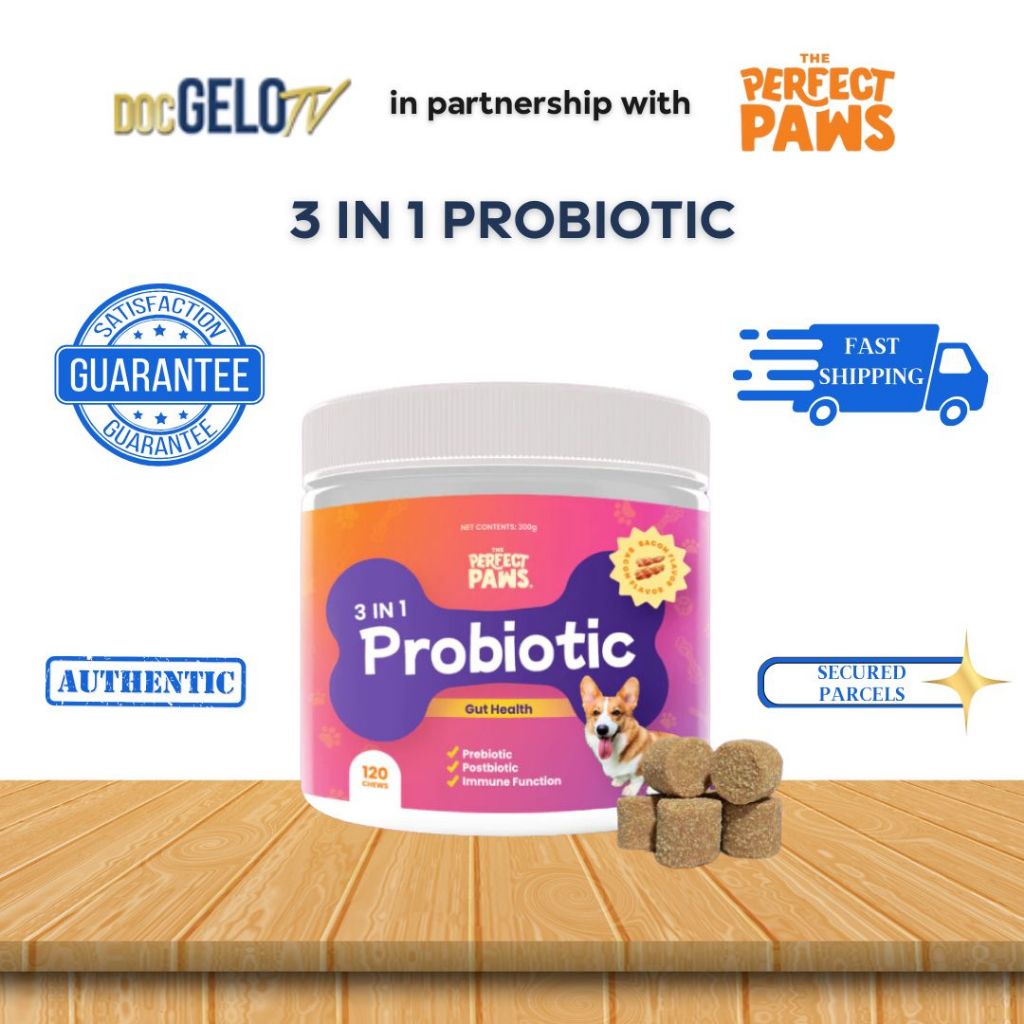 THE PERFECT PAWS 3 IN 1 PROBIOTIC CHEWS FOR DOGS | Shopee Philippines
